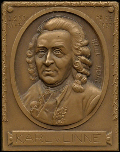 Plaketė Karlas Linėjus (Carl Linnæus) | Europeana