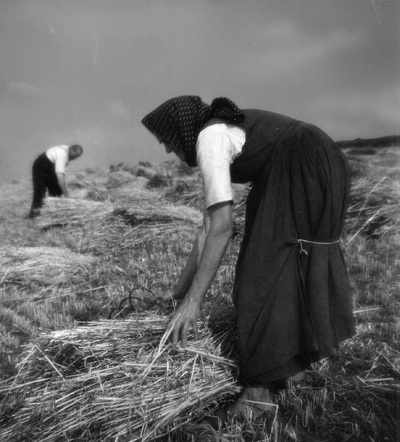 Erntebilder. Beim Heuwenden | Europeana