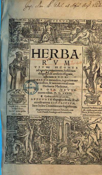 Herbarum vivae eicones :ad naturae imitationem summa cum diligentia ...